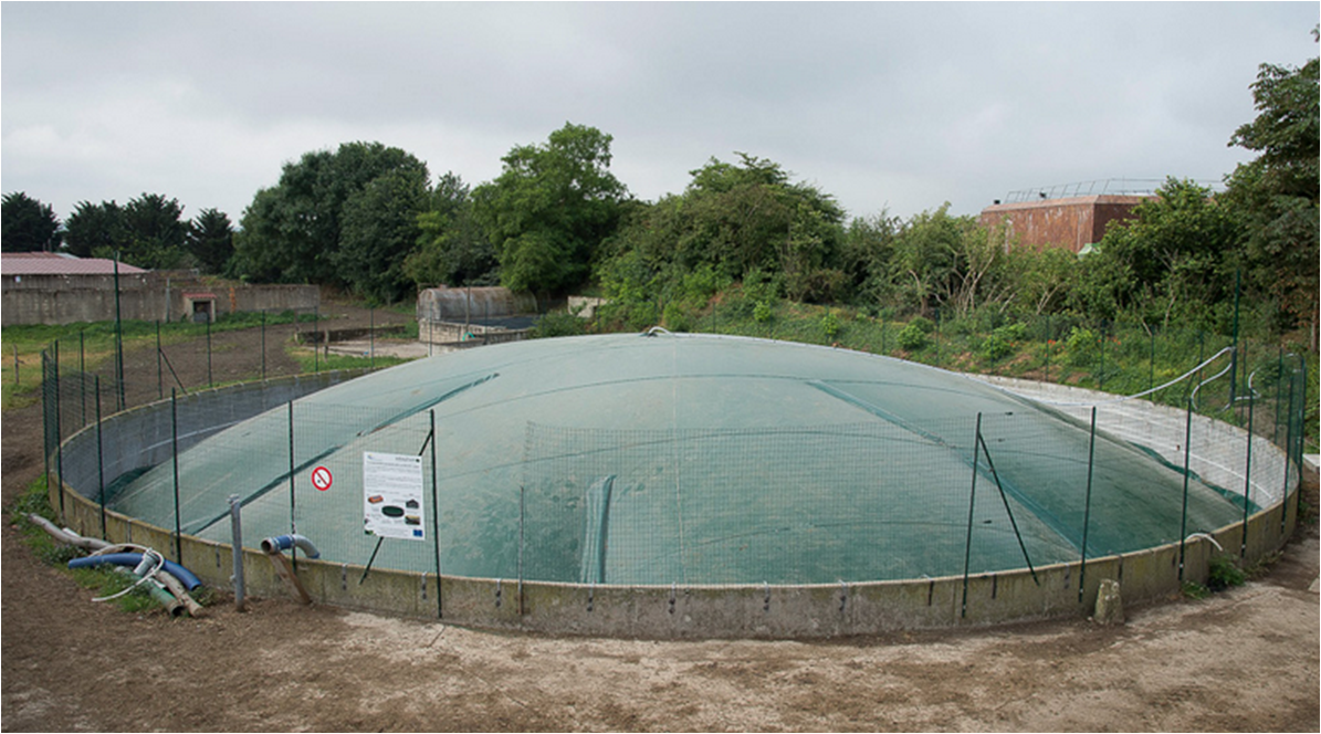 Ferme de Grignon AgroParisTech (78) - Nénufar