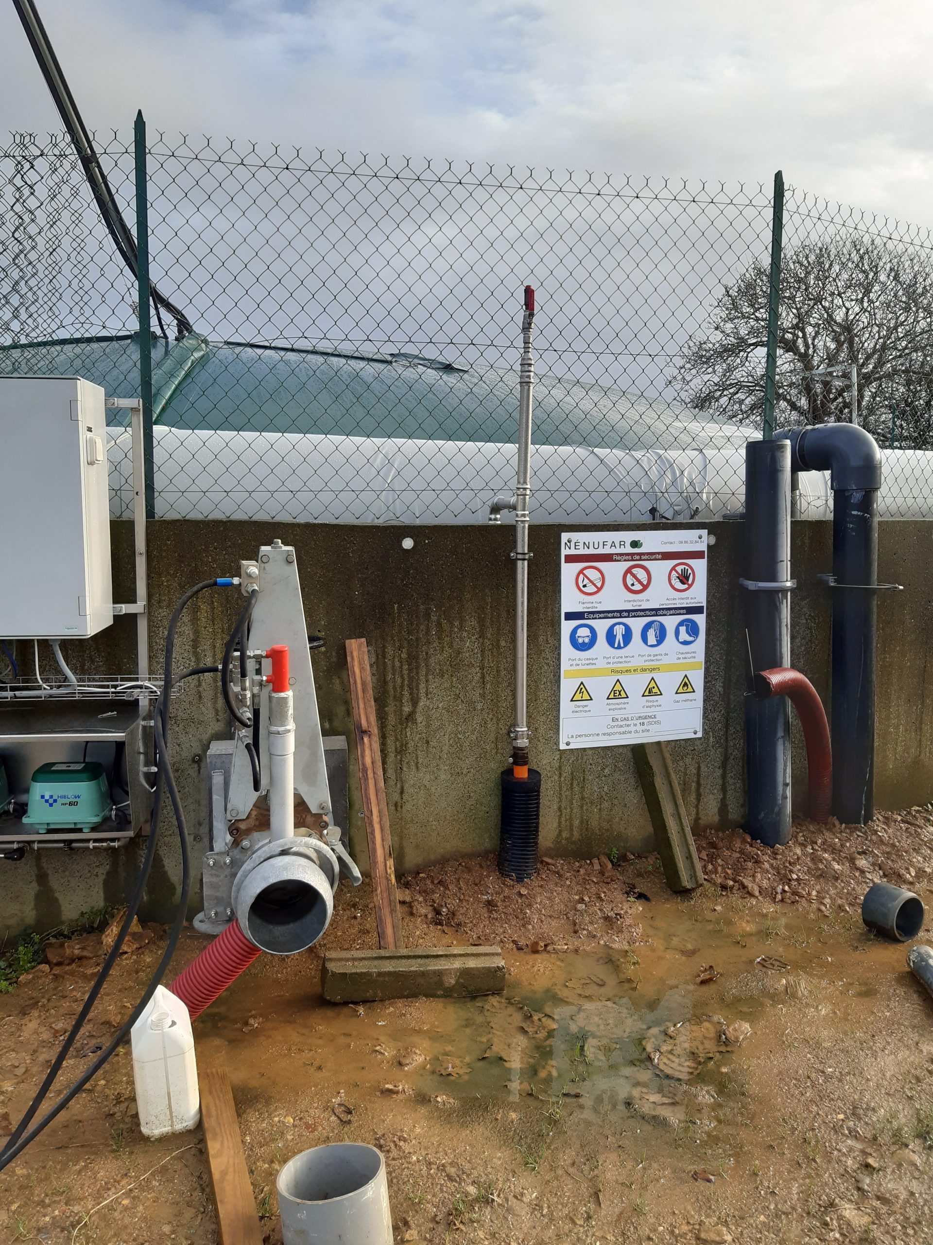 SCEA de Gonidec (29) - Nénufar